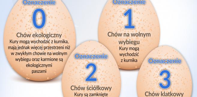 Konsumenci zadowoleni, a kurom lepiej - - Forsal.pl – Biznes ...